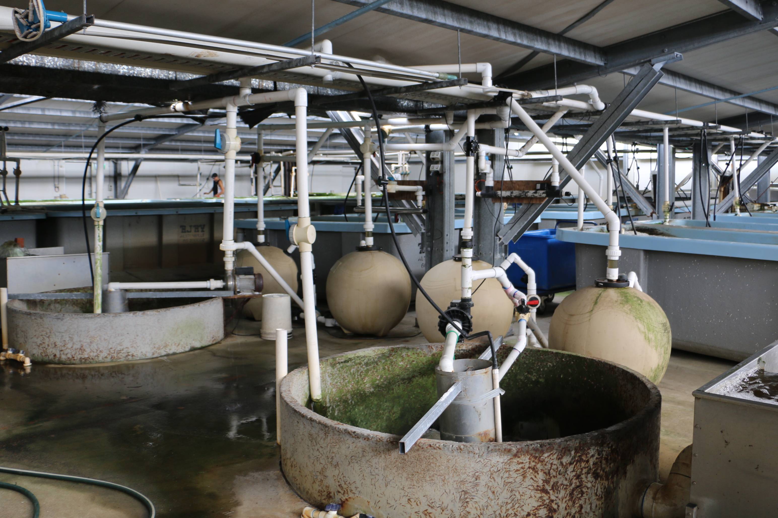 Tailor Made Fish Farms - EdTripper