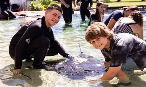 Primary School - EdTripper