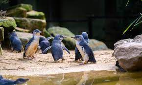 Excursion - Secondary - EdTripper