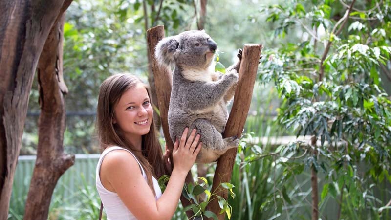 Excursion - Primary - EdTripper