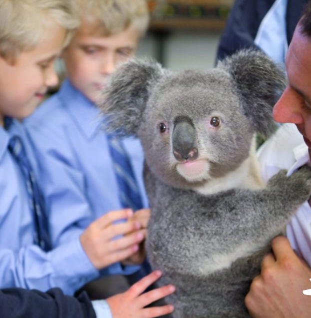 Incursions - Wildlife Wanderer Express - EdTripper