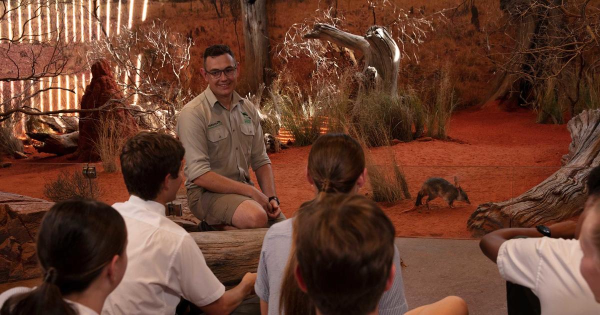 Stage 6 Zoo Workshops - EdTripper