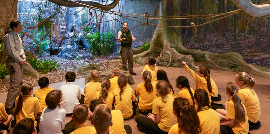 Stage 2 – Stage 3 Zoo Workshops - EdTripper