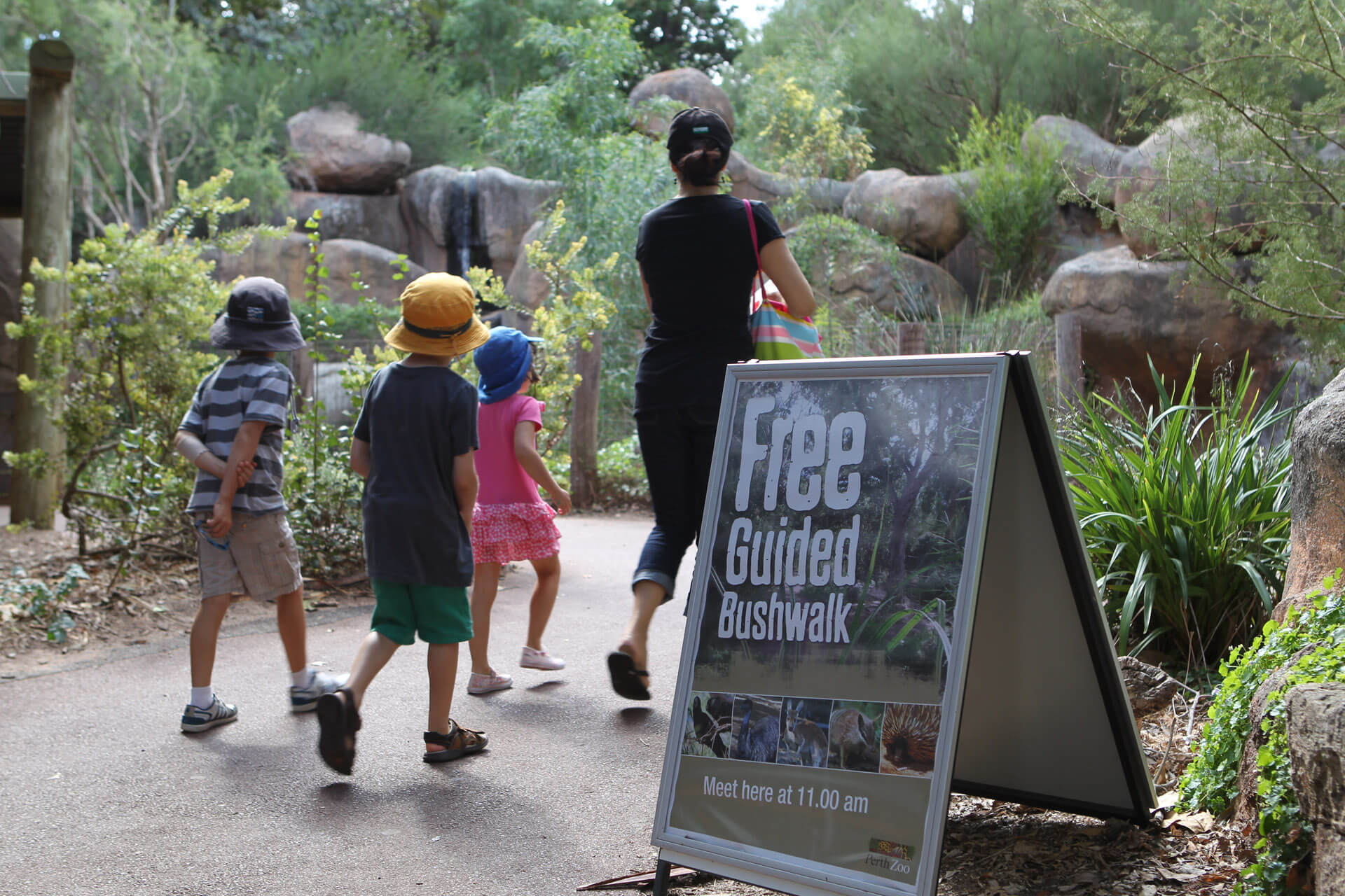 BUSH PARTY - EdTripper