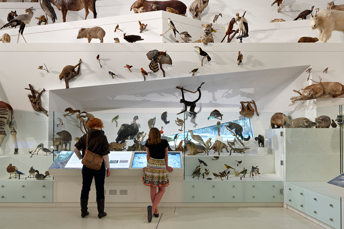 Melbourne Museum - EdTripper