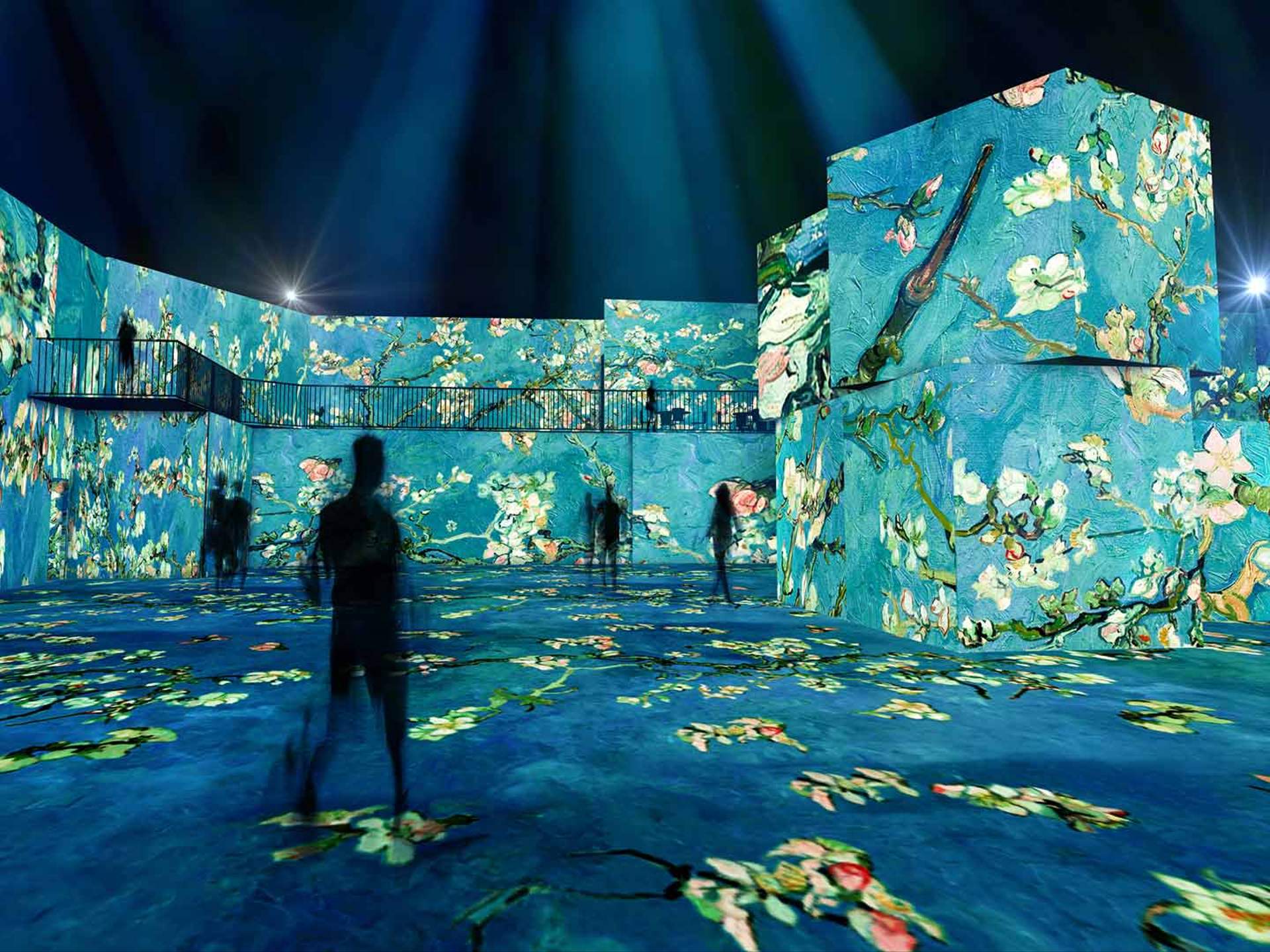 THE LUME Melbourne - EdTripper