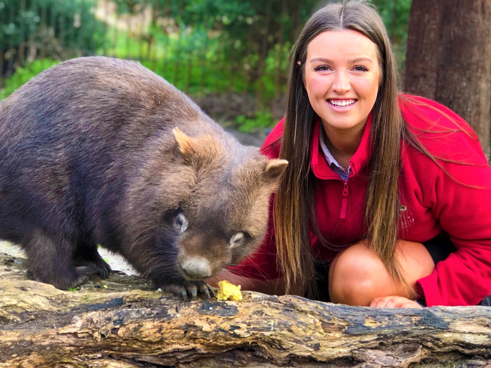 Feathers, Fur and Scales - EdTripper