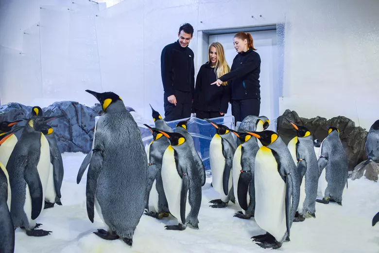 Marine Careers - EdTripper