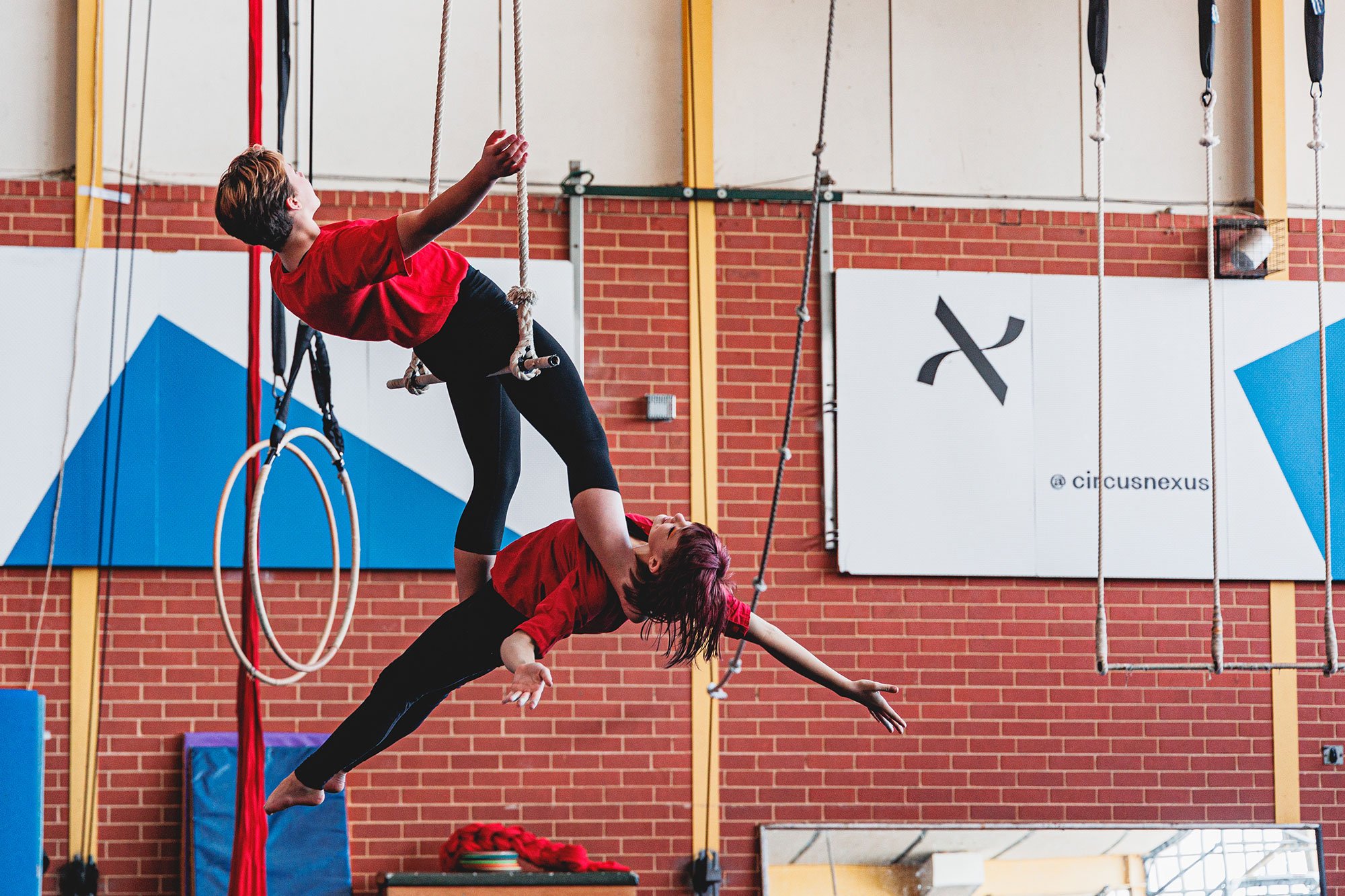 Circus Nexus - EdTripper