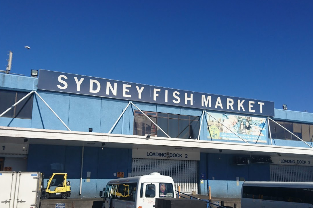 Sydney Fish Market - EdTripper