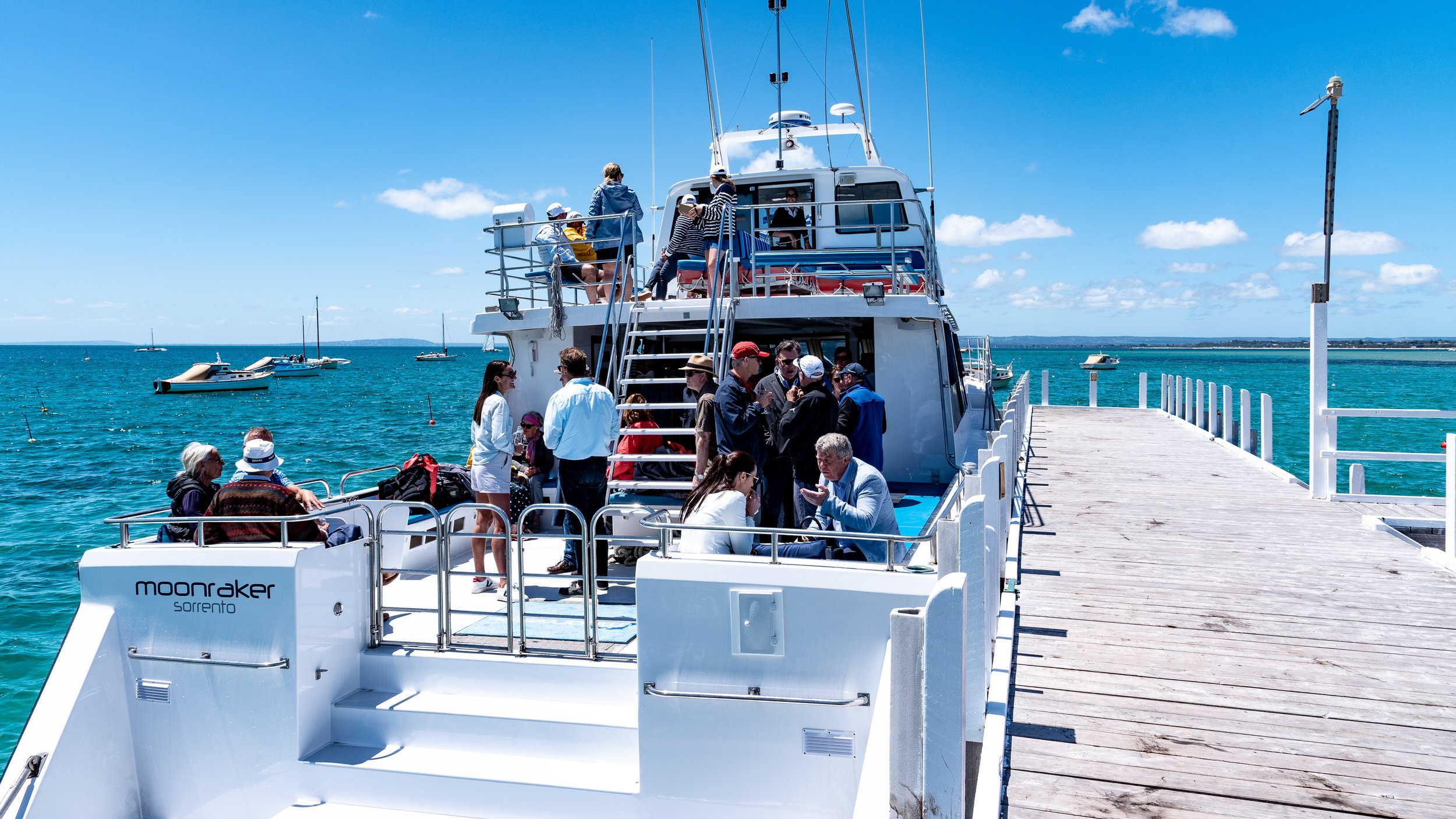 Moonraker Dolphin Swims - EdTripper