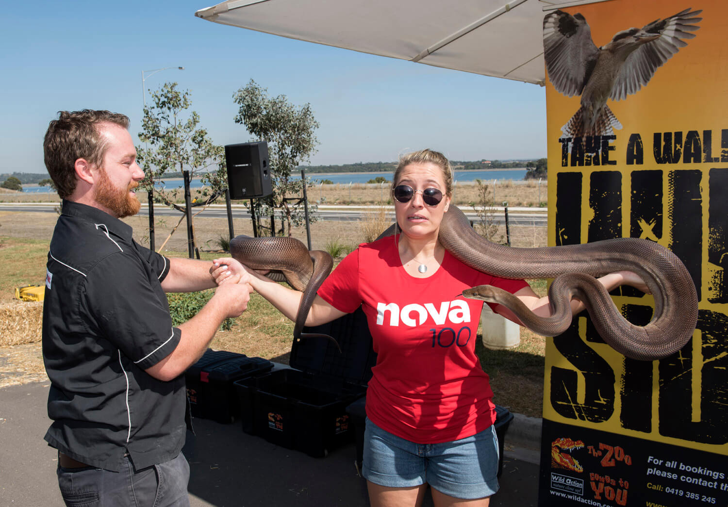 Wild Action - The Zoo Comes to You - EdTripper