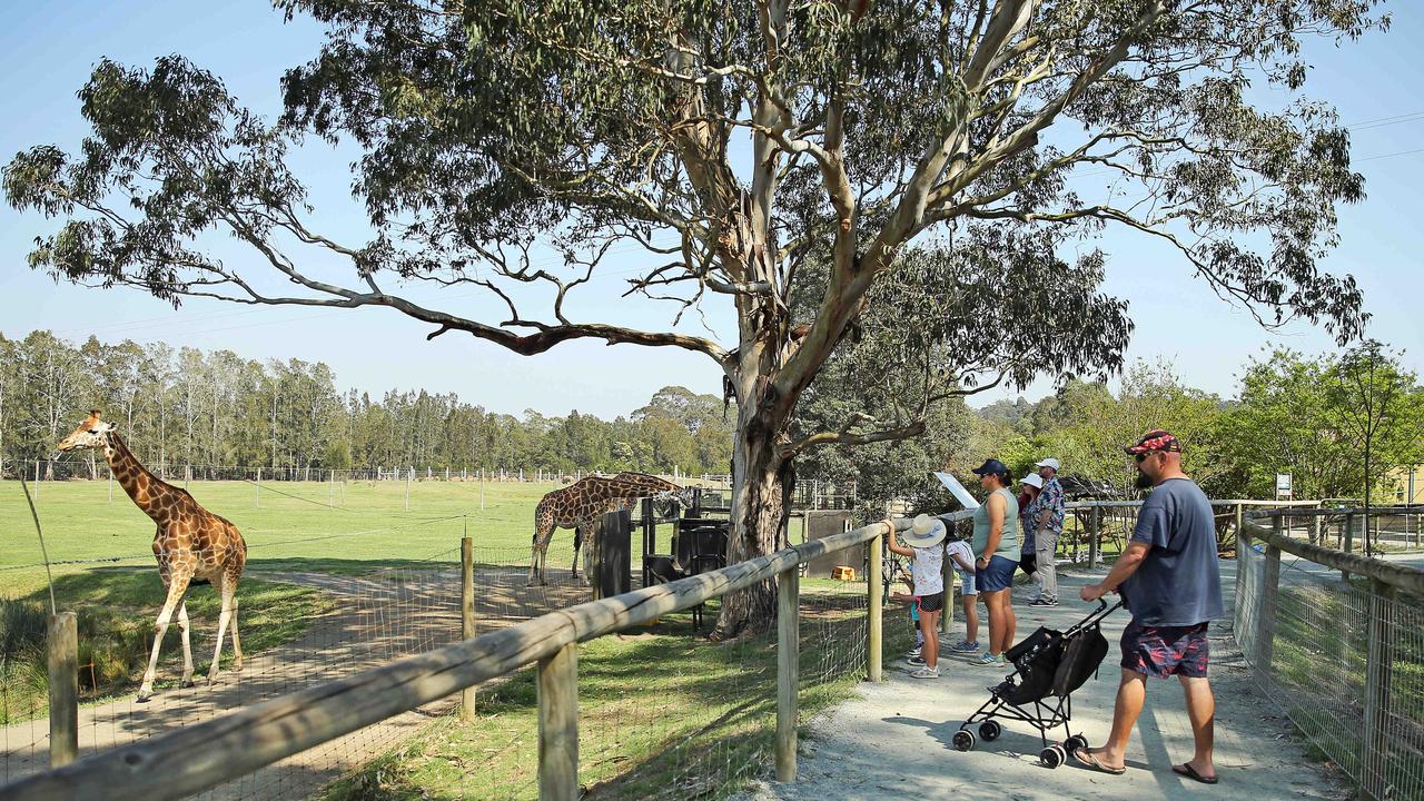 Mogo Wildlife Park - EdTripper