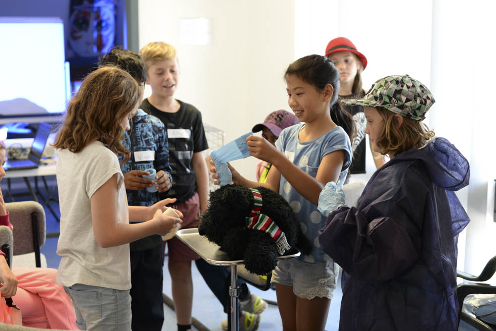 RSPCA - South Australia - EdTripper