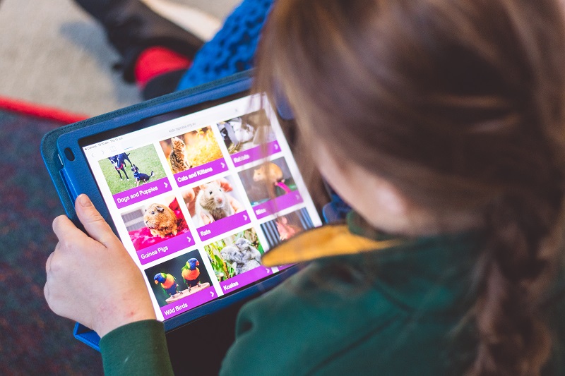 Aware kids’ education portal - EdTripper