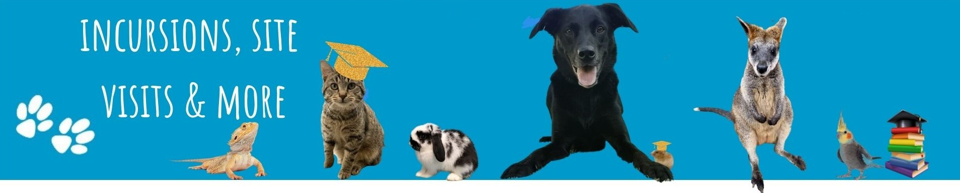 RSPCA Incursions and site visits - EdTripper