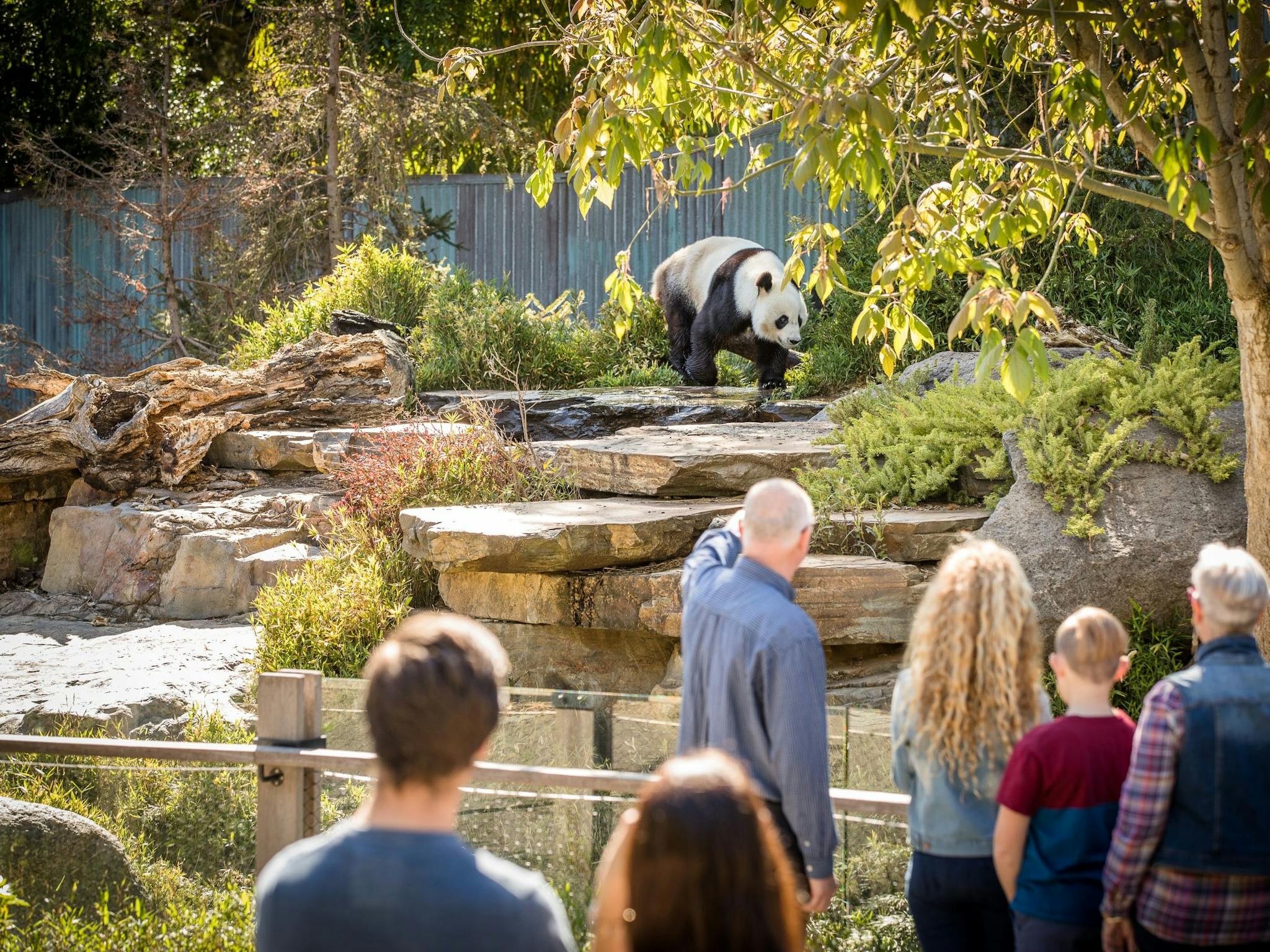 Adelaide Zoo - EdTripper