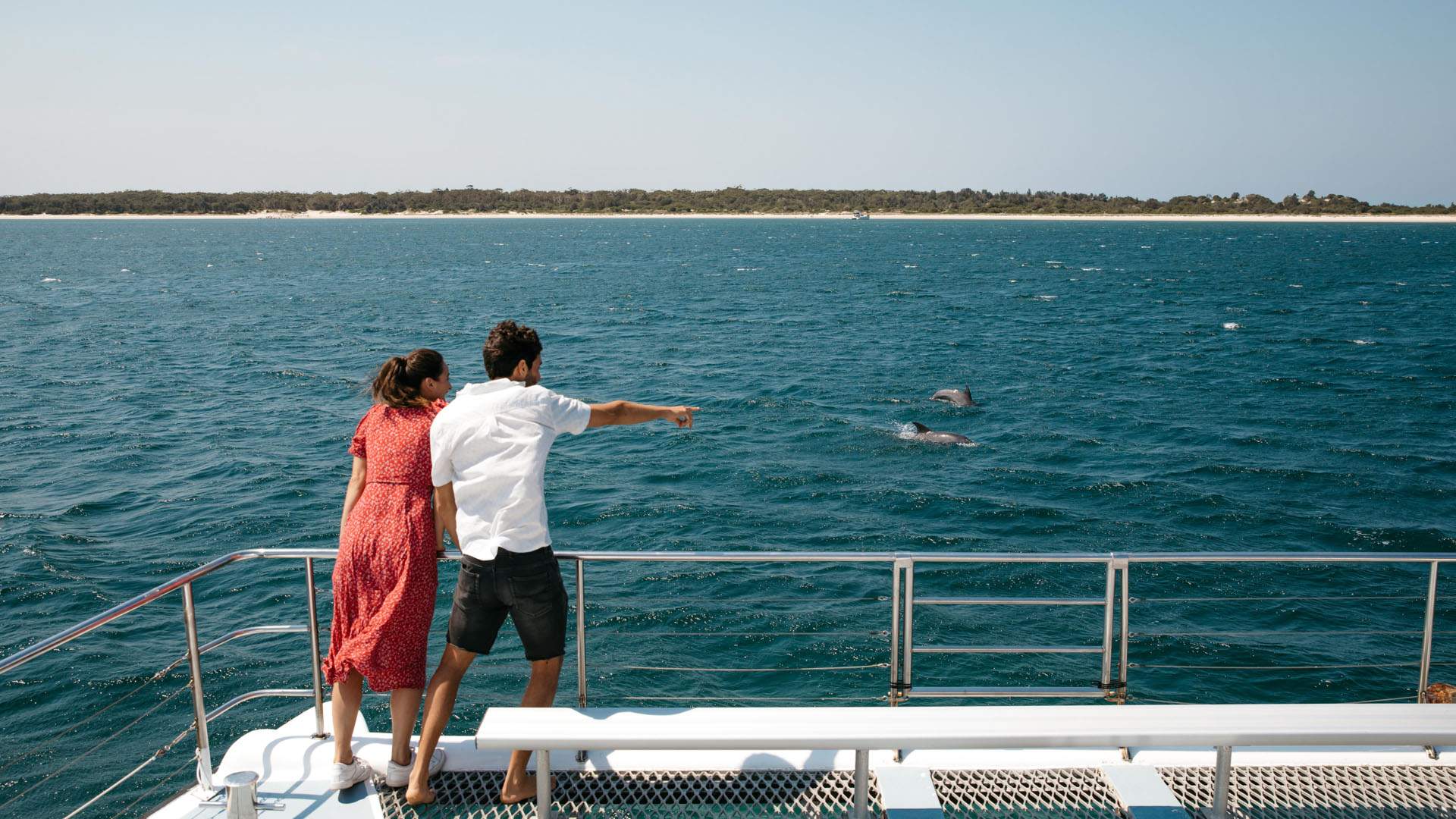 Marine Discovery Cruise Adventure - EdTripper