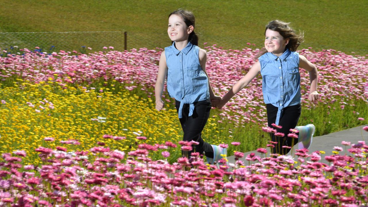 Self Guided Visit - EdTripper