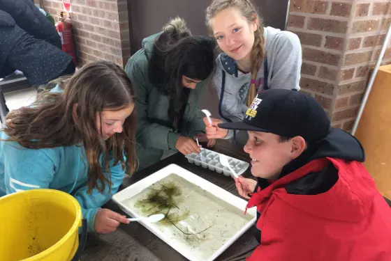 Aquatic Invertebrate Sampling - EdTripper