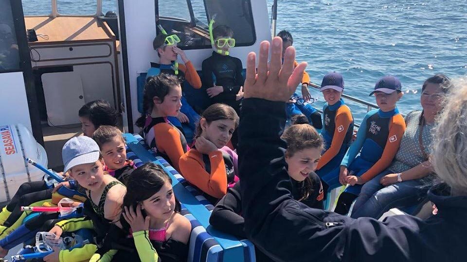 2 hour Invasive | Introduced Species Discovery Snorkel - EdTripper