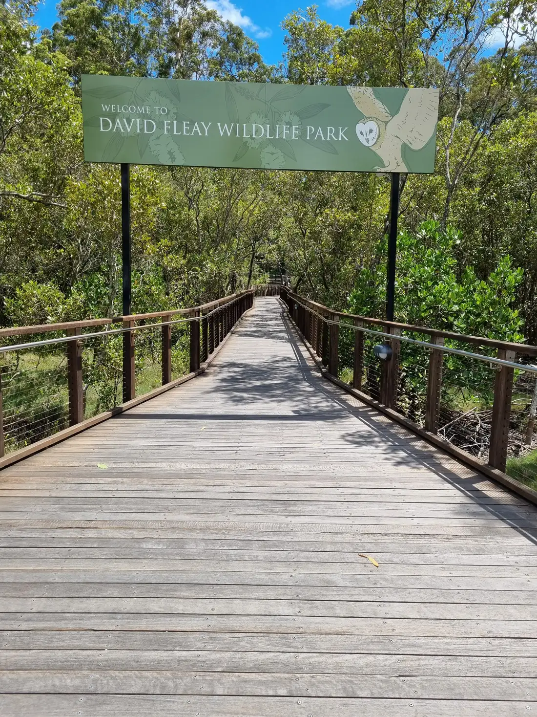 David Fleay Wildlife Park - EdTripper