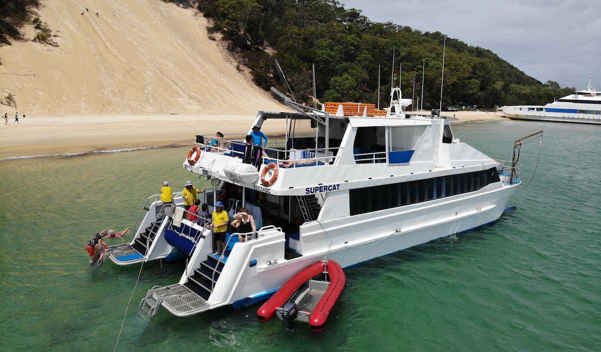 Dolphin Wild Island Cruises - EdTripper