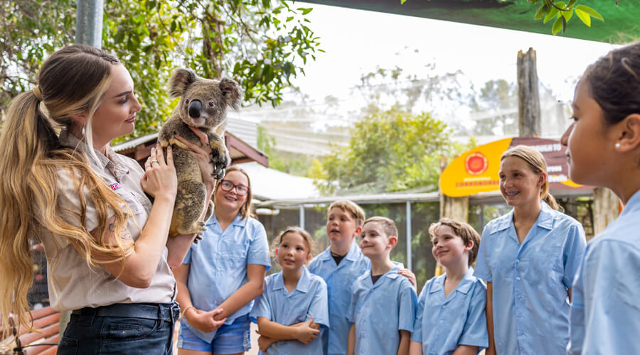 Wildlife - EdTripper