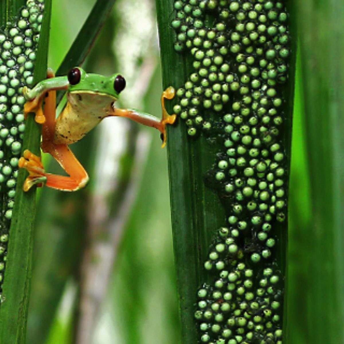 Wildlife Photographer of the Year Self-guided for Schools - EdTripper