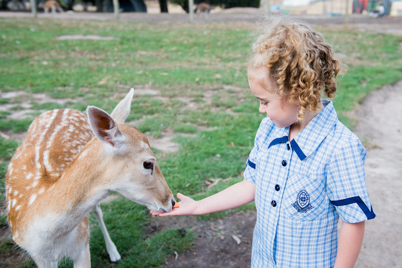 Life on the Farm School Excursion - EdTripper
