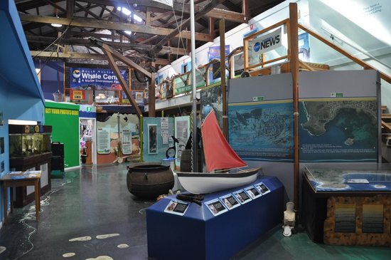 South Australian Whale Centre - EdTripper