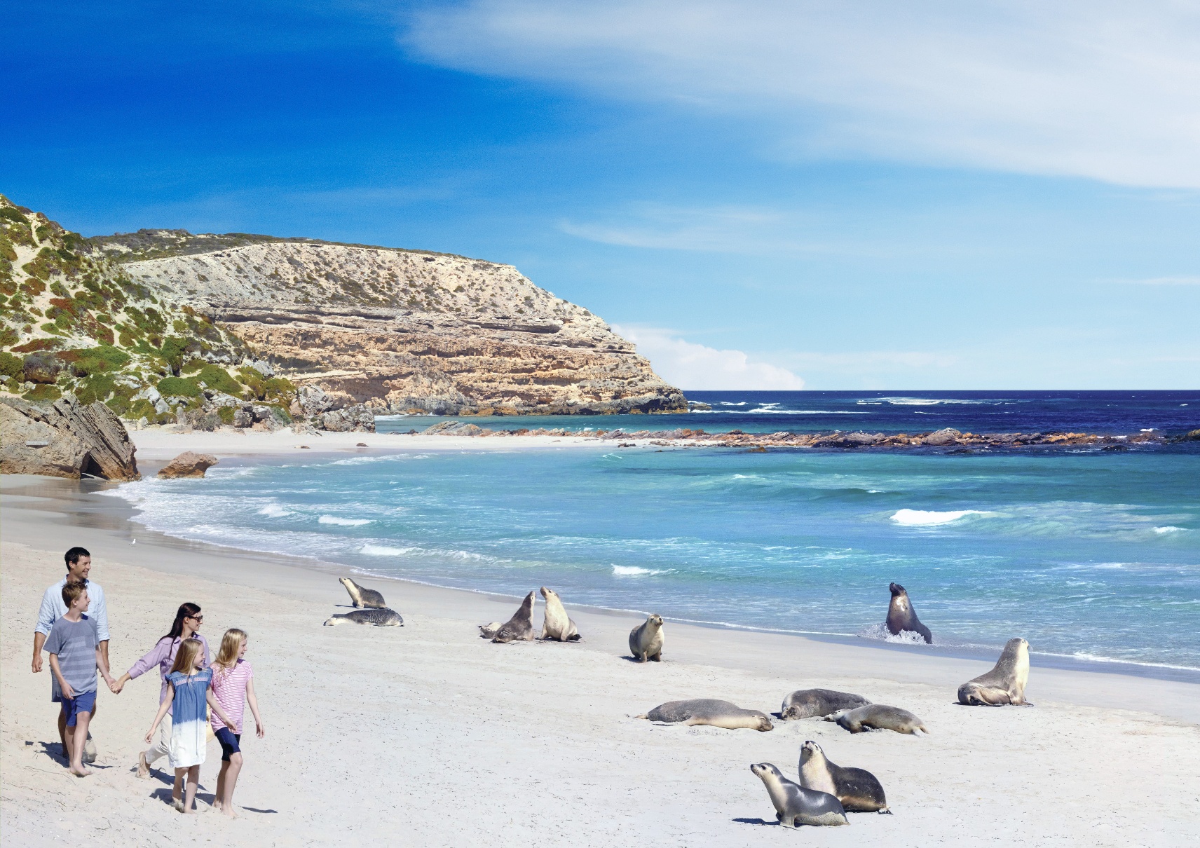 Seal Bay - EdTripper