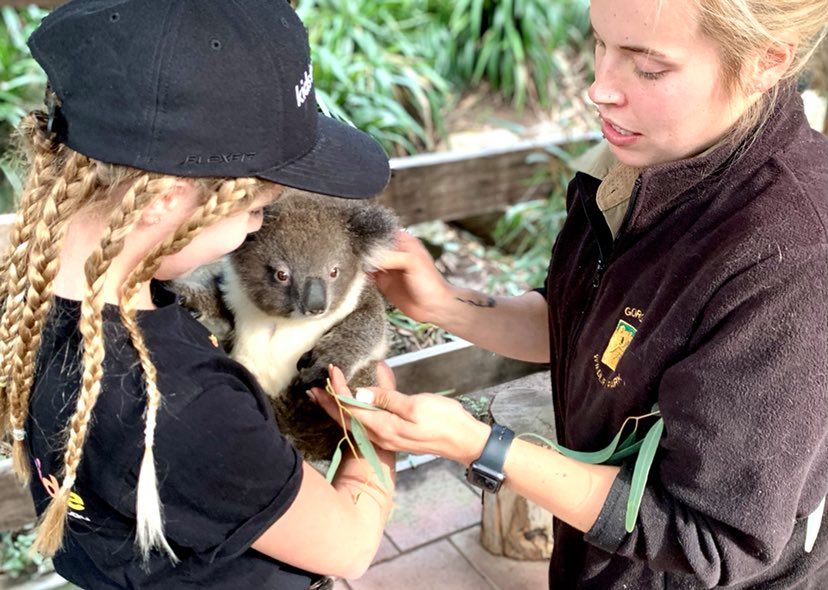 Educational Keeper Session - EdTripper