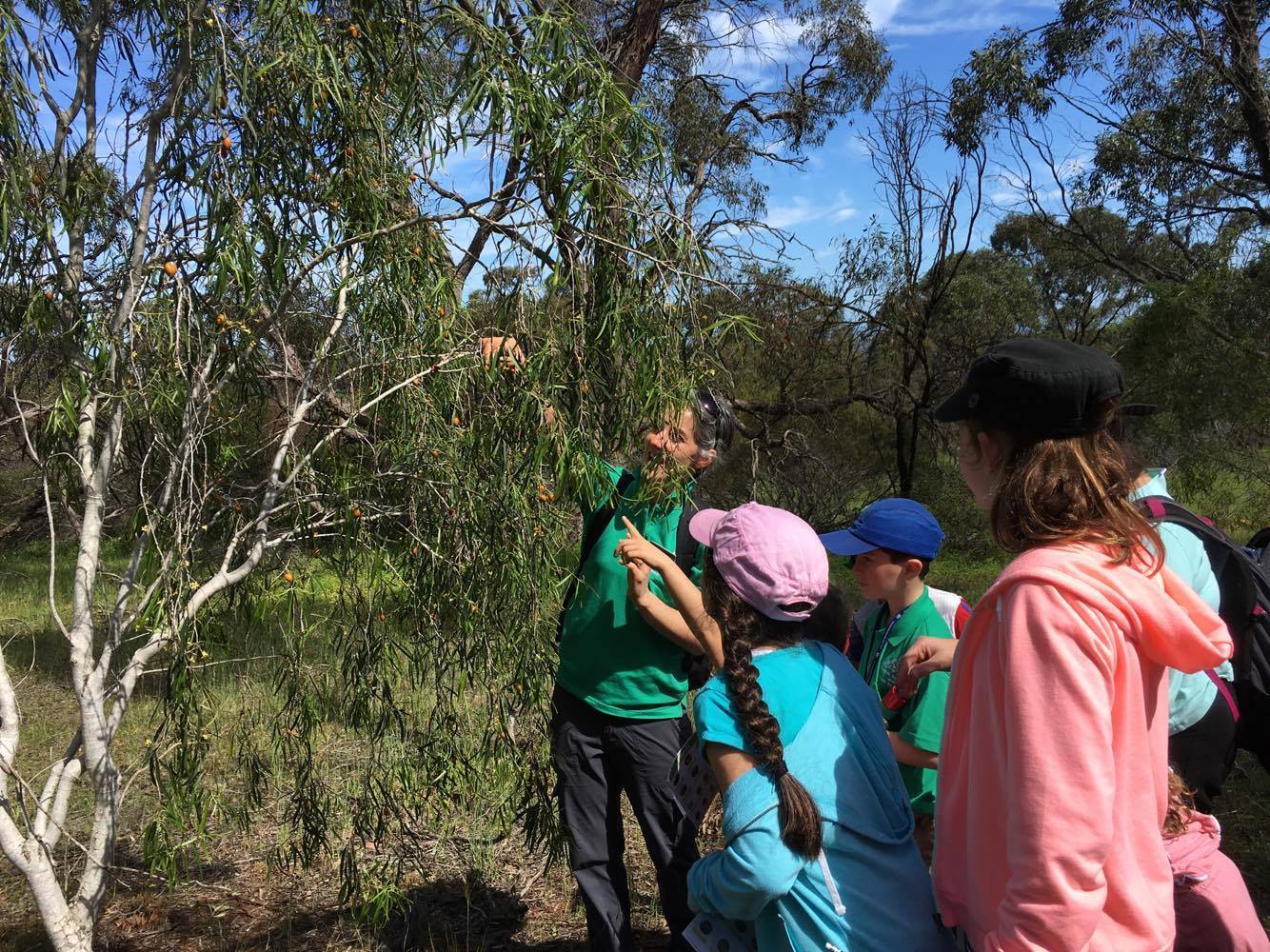 Bush Biodiversity - EdTripper