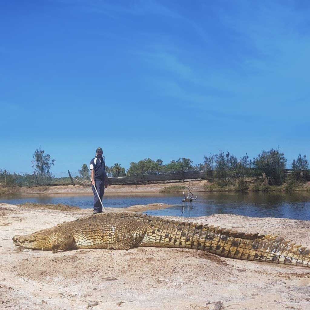 Koorana Crocodile Farm - EdTripper