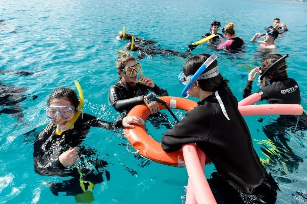 Lady Musgrave Island Day Tour - EdTripper