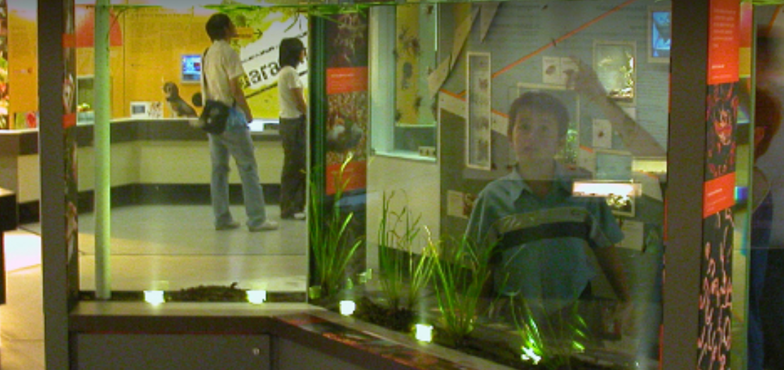 Minibeasts - EdTripper