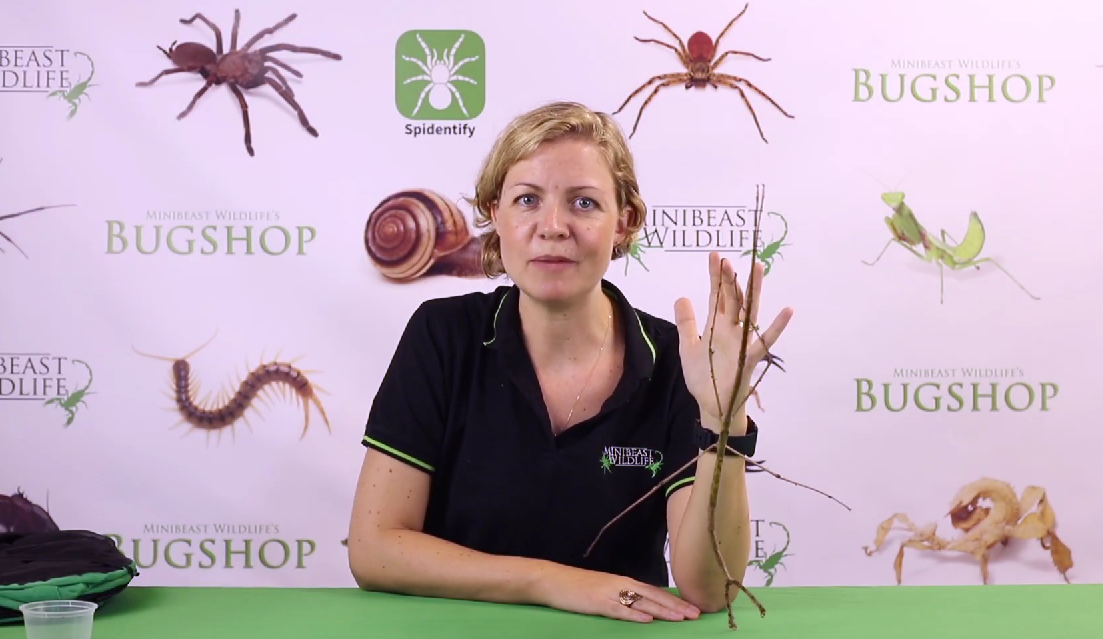 Educational Wildlife Incursion - EdTripper