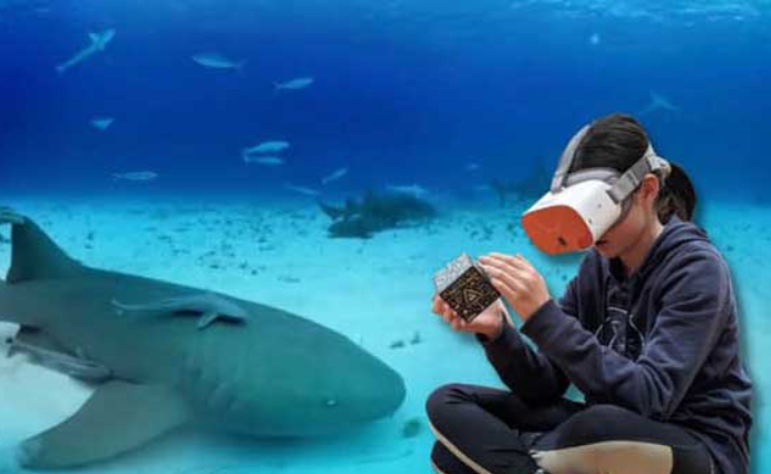 Ocean Stars Marine Education - EdTripper