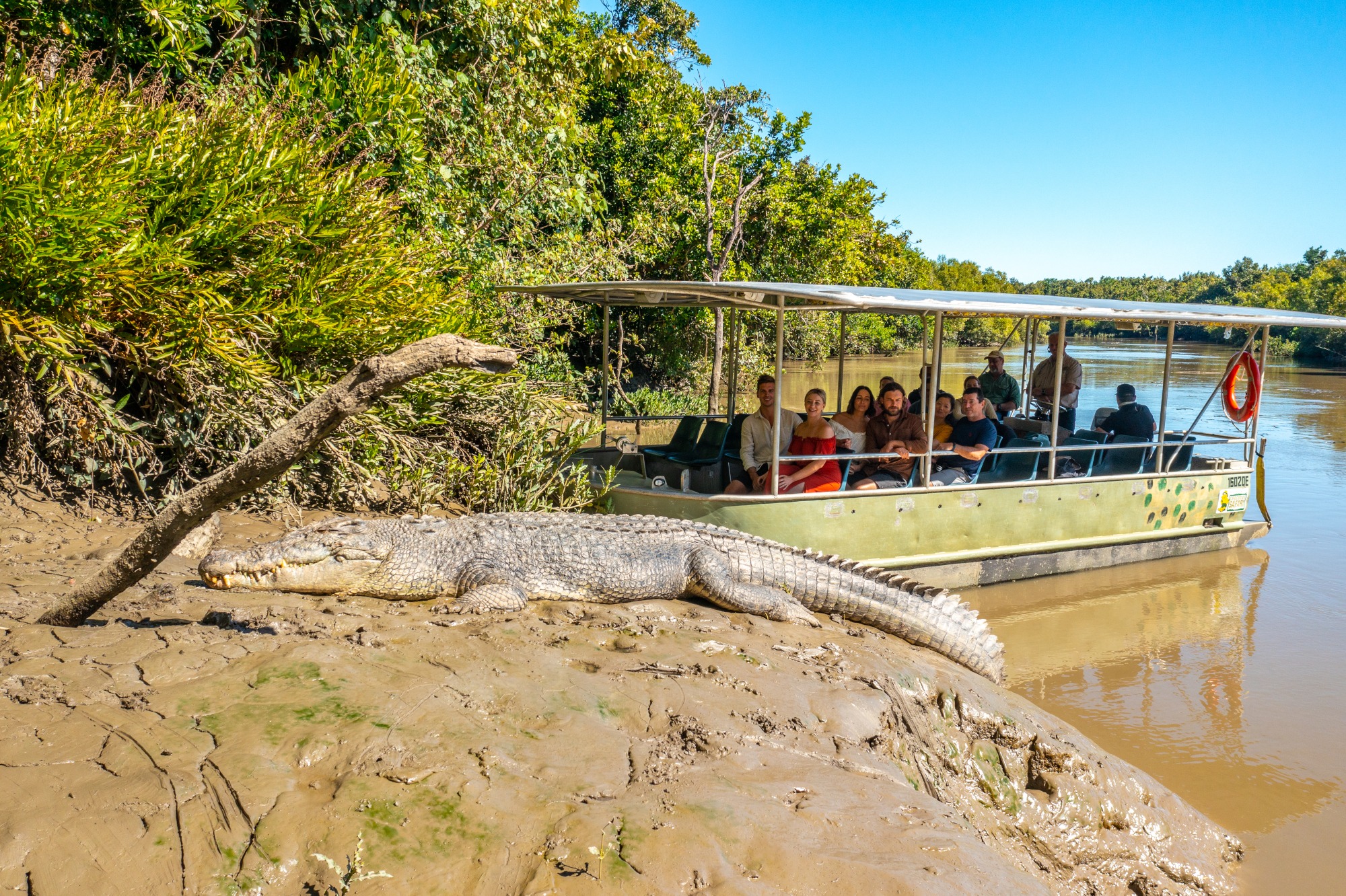 Whitsunday Crocodile Safari - EdTripper