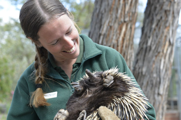 Kanyana Wildlife Rehabilitation Centre - EdTripper