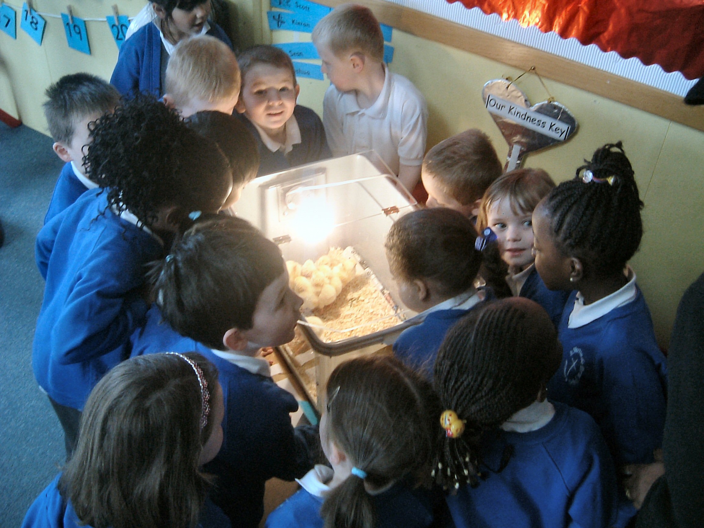 Social & Personal Learning (Primary) - EdTripper