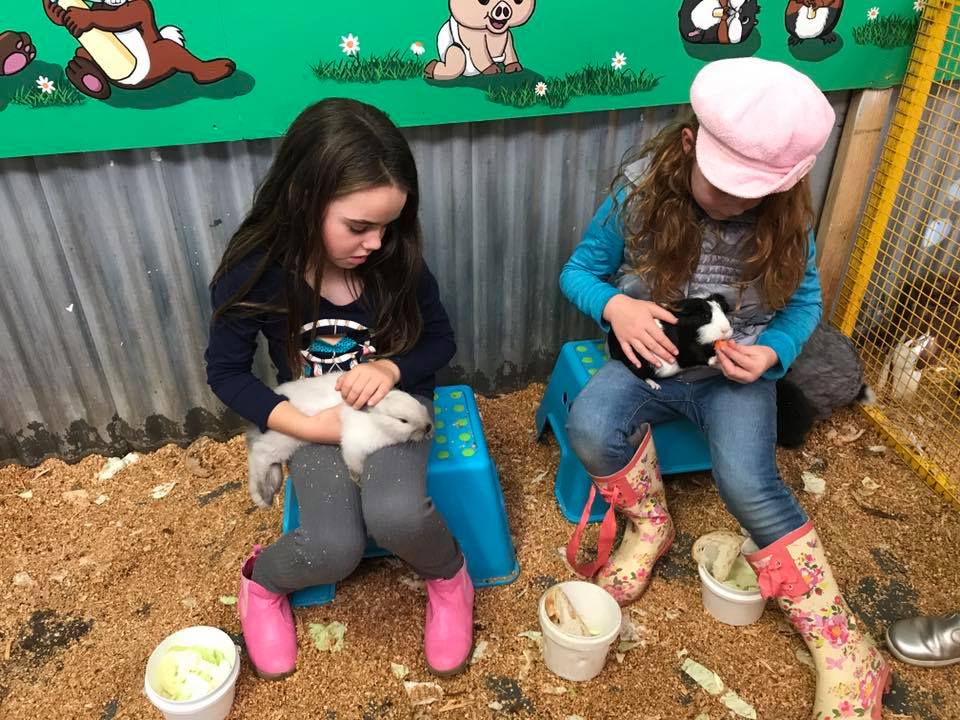 Cuddly Animal Excursion - EdTripper