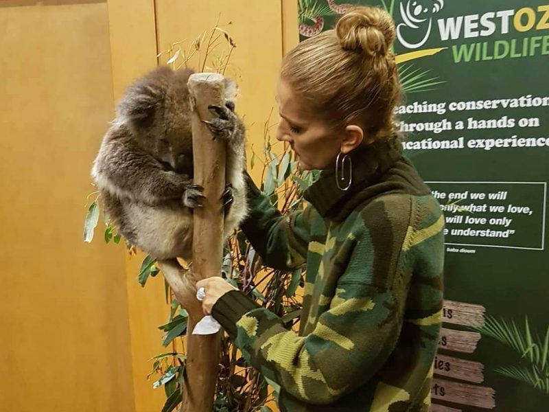 West OZ Wildlife - EdTripper