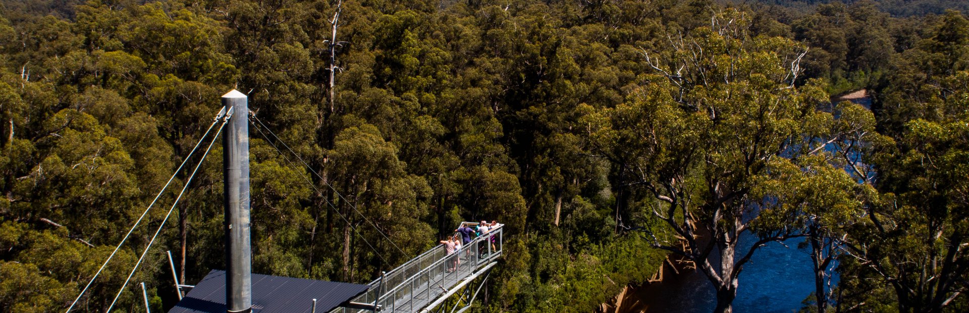 Tahune Airwalk - EdTripper