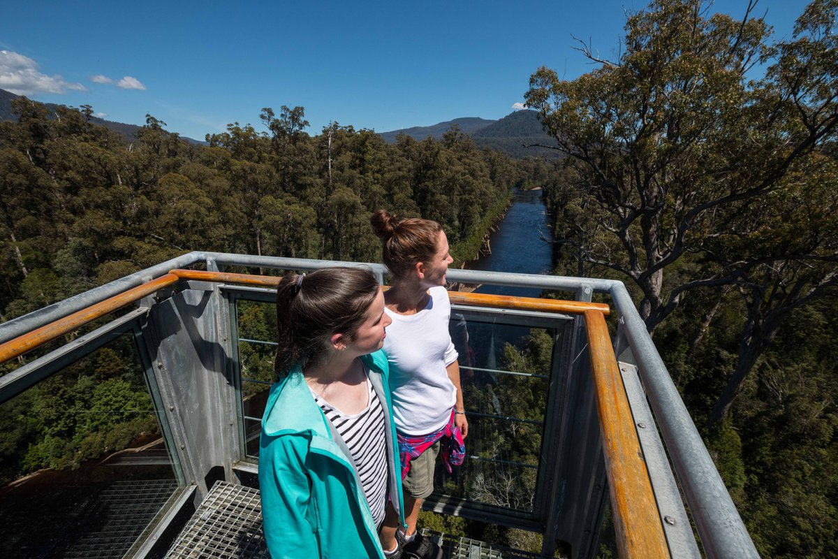 Airwalk Adventure - EdTripper