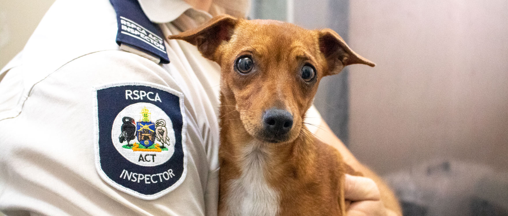 RSPCA ACT - EdTripper