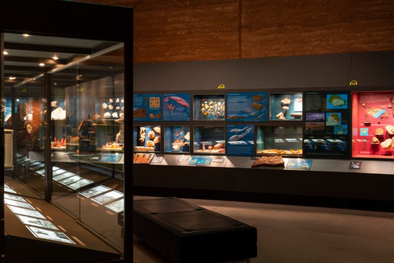 Museum of Central Australia - EdTripper