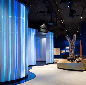 Exhibition Visit - EdTripper