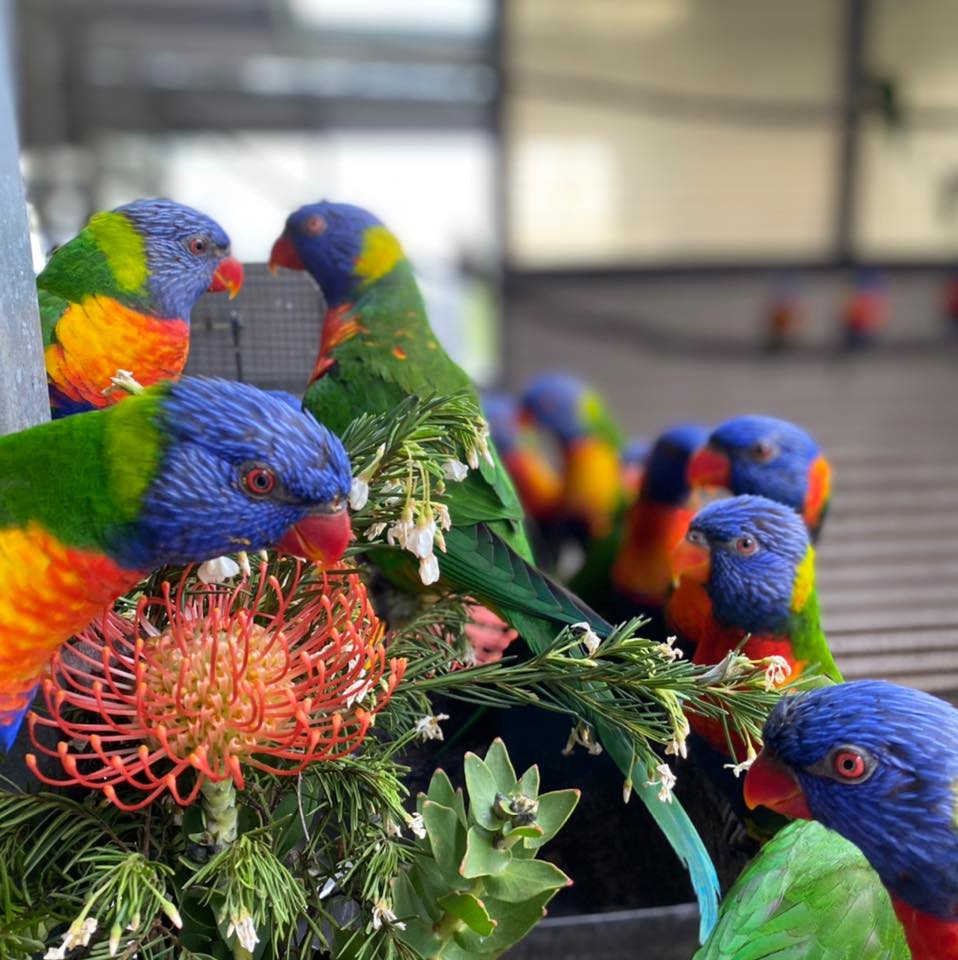 Old Marron Farm - EdTripper